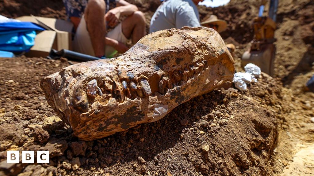 Ancient fossil: 100 million year-old beast's remains discovered - BBC ...