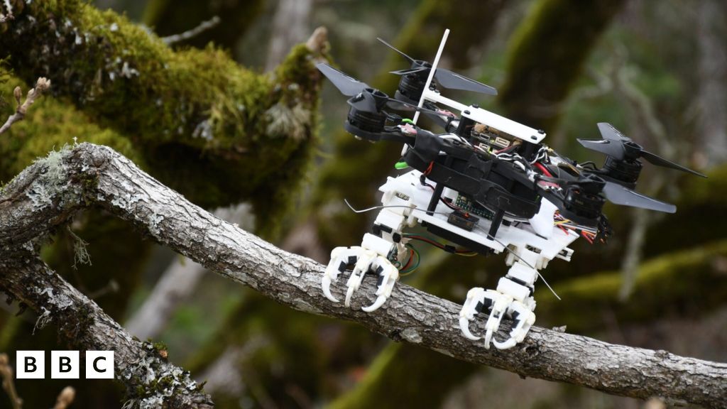 Scientists make robot bird that can land on branches - BBC Newsround