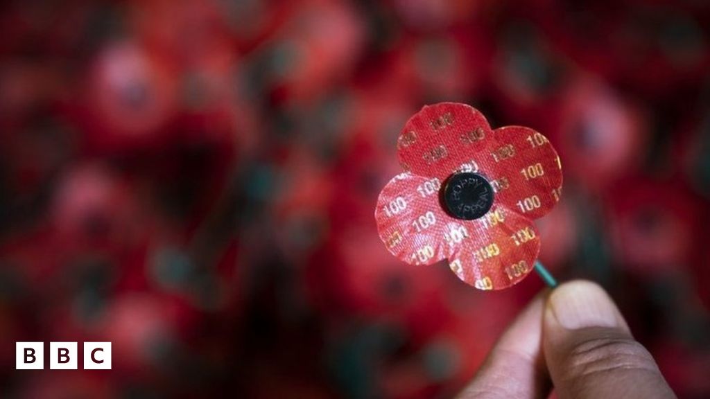 Royal British Legion's Poppy Appeal celebrates its centenary year - BBC ...