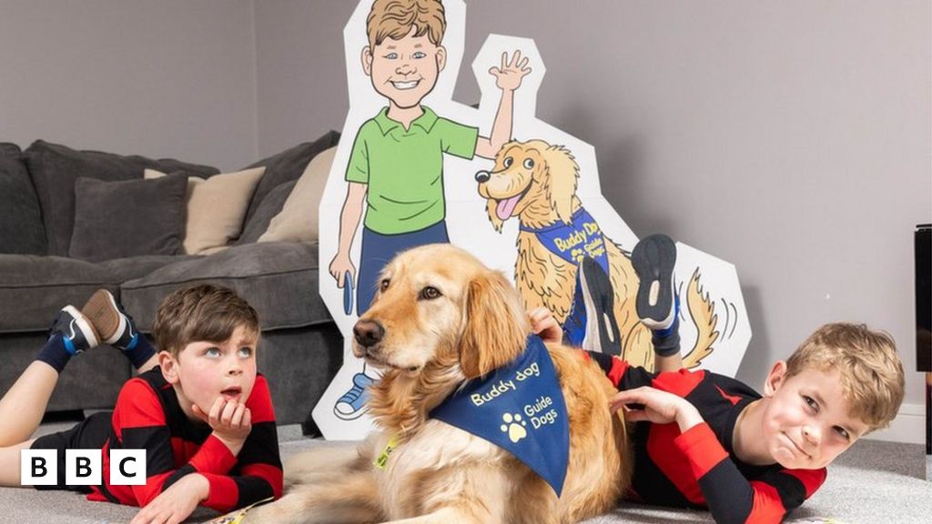 Guide dogs: Beano comics and charity buddy up to raise awareness - BBC ...