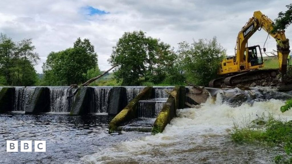 Wildlife: Why are dams being removed across Europe? - BBC Newsround