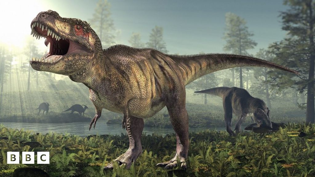 T-rex's eye socket shape helped their powerful bite, new research says ...