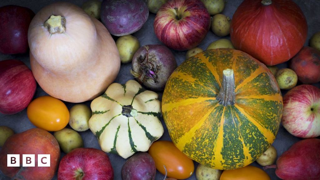 How will your school be celebrating Harvest Festival? - BBC Newsround
