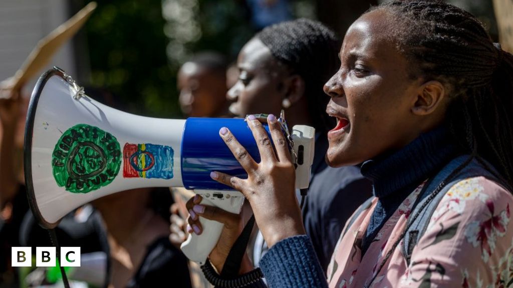 COP27: What is it and what do you need to know? - BBC Newsround