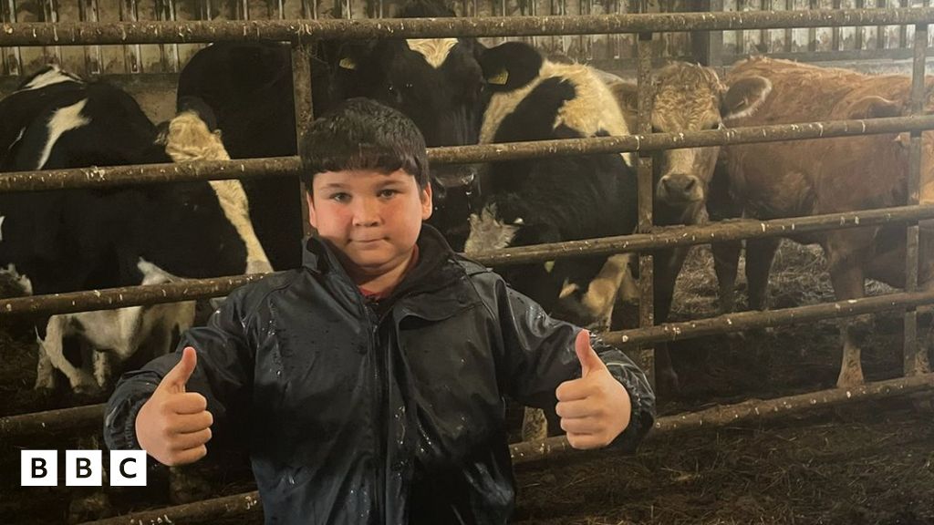 Hanner Tymor Tomos Bwlch - BBC Cymru Fyw