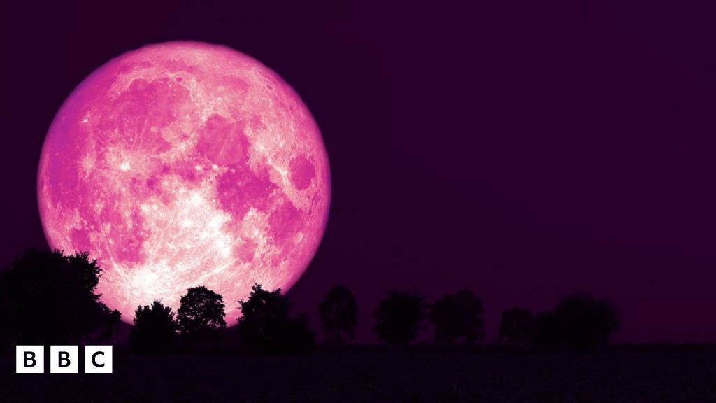Strawberry Moon 2024: Why is it special, and when will it happen? - BBC ...