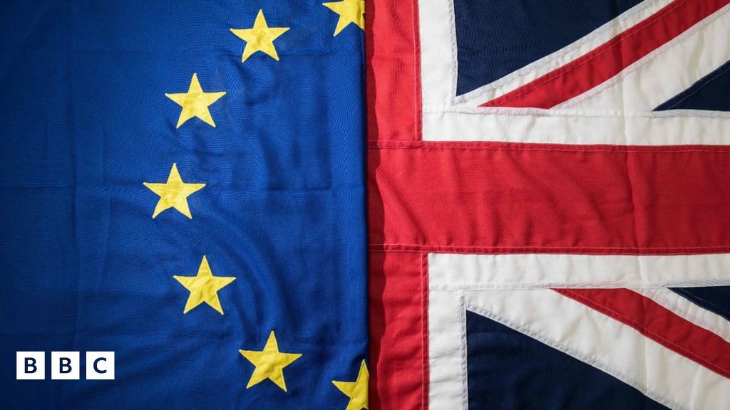 What do all the Brexit words mean? - BBC Newsround