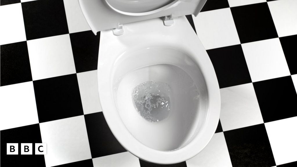 Poo transplant: How does a faecal transplant work? - BBC Newsround