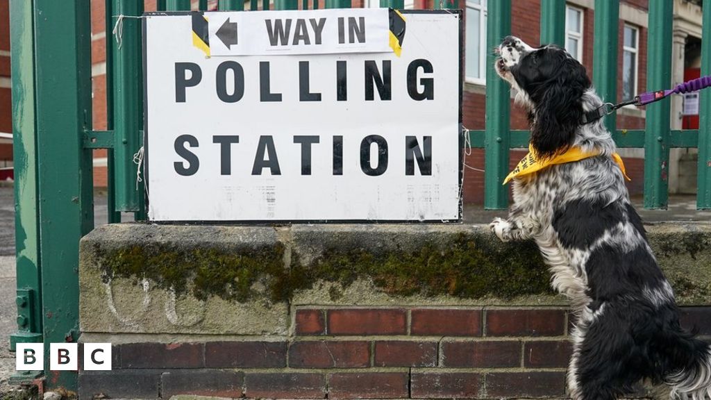 Local elections: What happened and what are they? - BBC Newsround