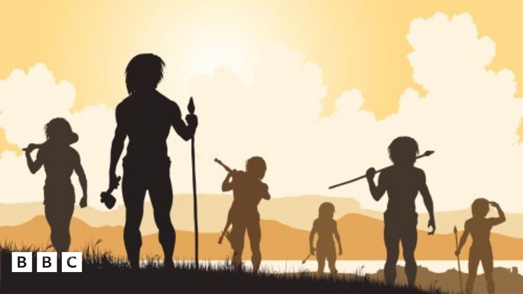 Evidence of Stone Age living found under North sea - BBC Newsround