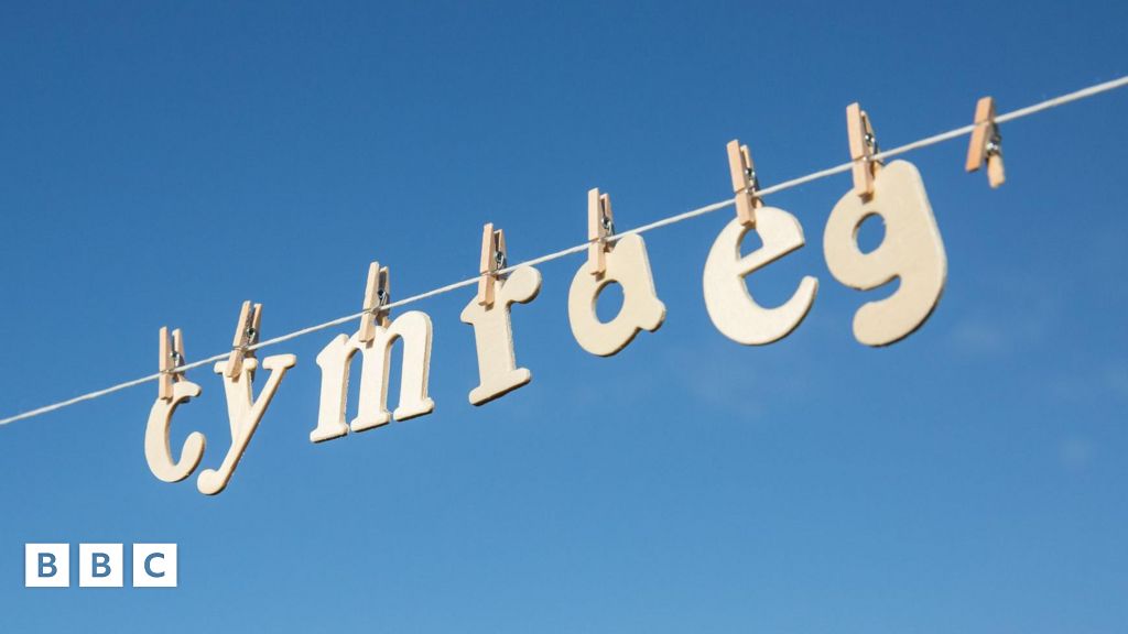 Gostyngiad nifer siaradwyr Cymraeg yn rhoi 'darlun siomedig' - BBC Cymru Fyw