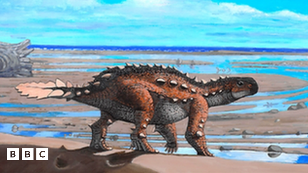 Ankylosaurus: Scientists discover new dinosaur species with 'battle axe ...