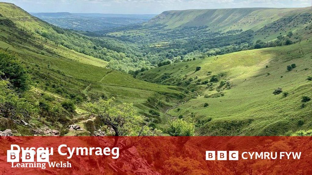 5 cornel o Gymru ar ochr arall y ffin - BBC Cymru Fyw