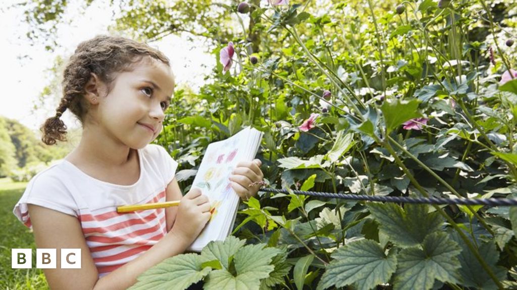 The Wild Escape: How to take part in huge art project - BBC Newsround