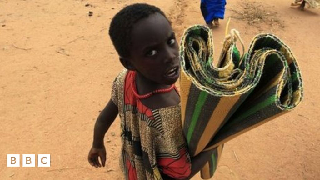 Guide: What is drought and how does it happen? - BBC Newsround