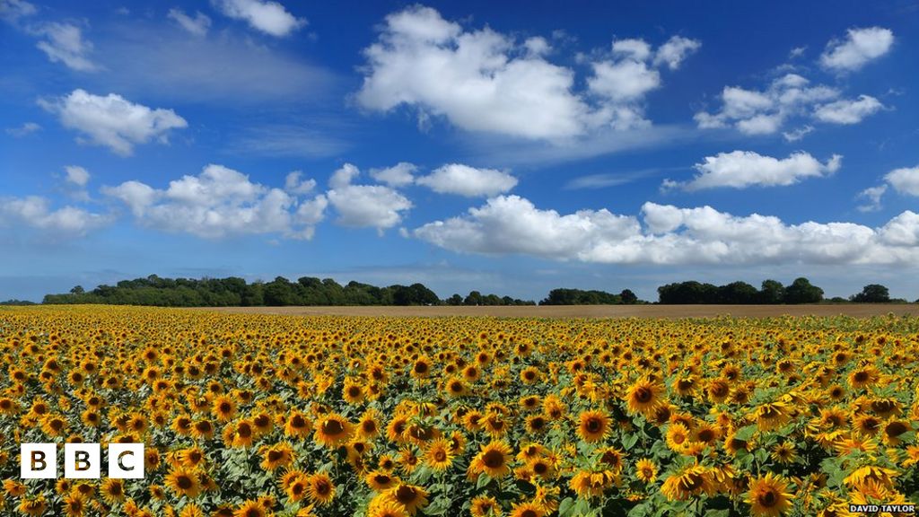 Your September UK photos - BBC Weather
