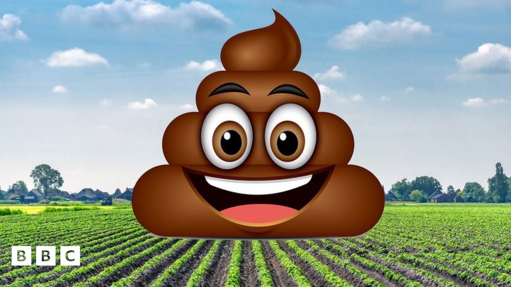 Farming: Why are farmers using human poo fertiliser? - BBC Newsround