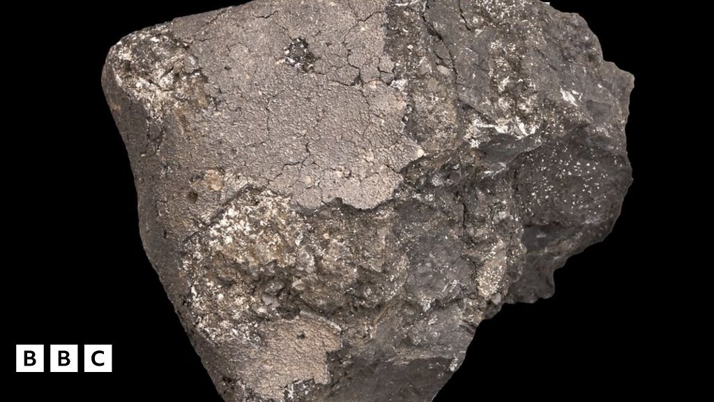 Scientists find source of rarest meteorite to fall on Earth - 84 years ...