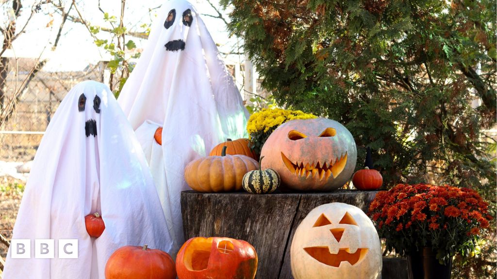 Your Pics: Halloween costumes and pumpkins - BBC Newsround
