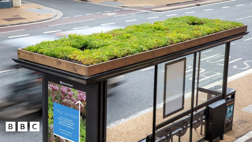 Buzz stops: UK hopes to see more bee friendly bus stops - BBC Newsround