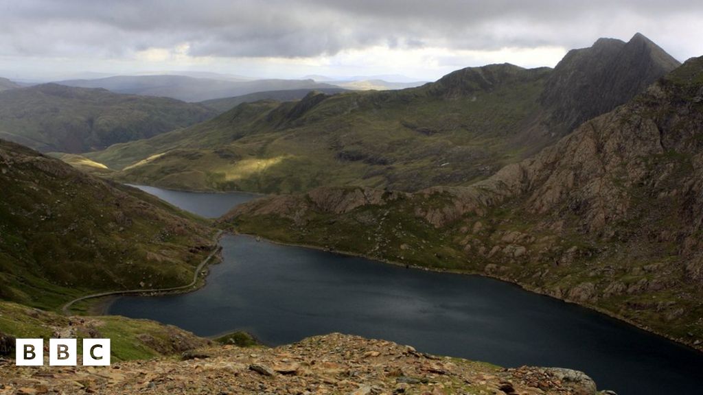 Ehangu prosiect elusennol i ddiogelu mynyddoedd Eryri - BBC Cymru Fyw