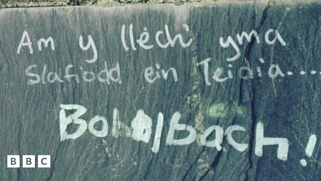 Amser am lechen lân yng Nghastell Penrhyn? - BBC Cymru Fyw