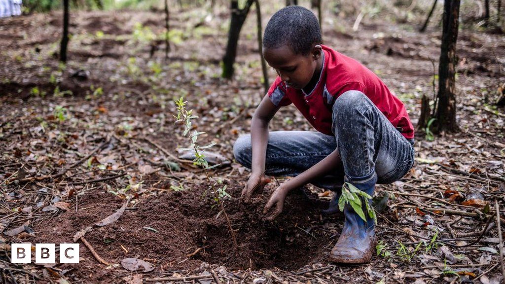 Kenya's goal to plant 15 billion trees - and more tree planting records ...