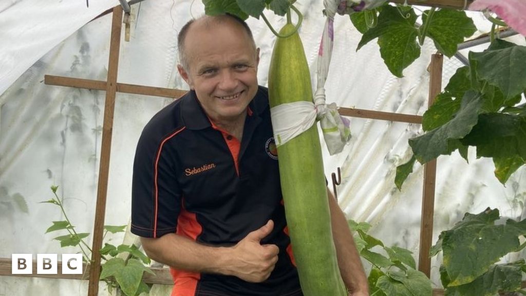 Guinness World Records: The world's longest cucumber - BBC Newsround