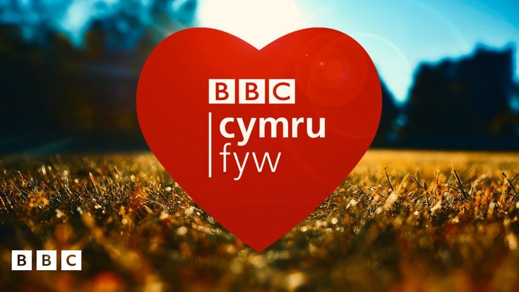 Cymru Fyw yn datgelu gwasanaeth canfod cariad - BBC Cymru Fyw