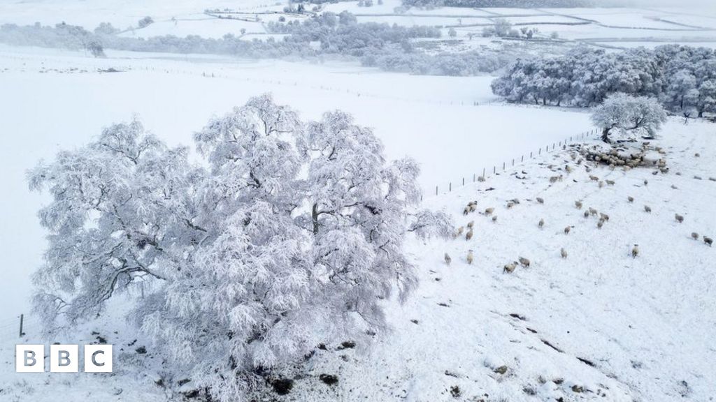 Snowy scenes and freezing temperatures across UK and Europe - BBC Newsround