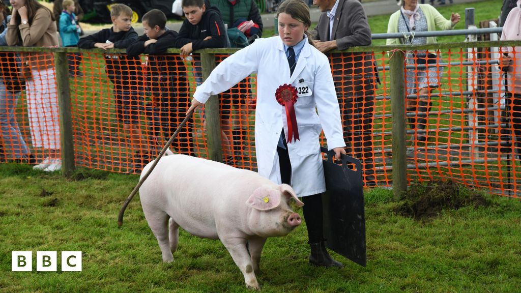 Lluniau: Dydd Mawrth yn Sioe Môn - BBC Cymru Fyw