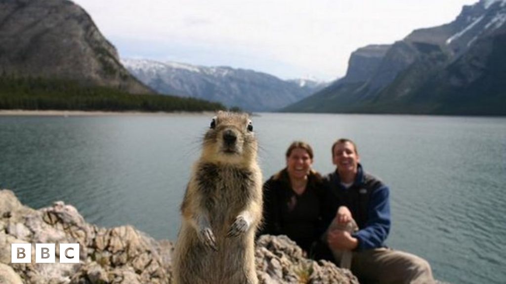 Does this squirrel make you smile? - BBC Newsround