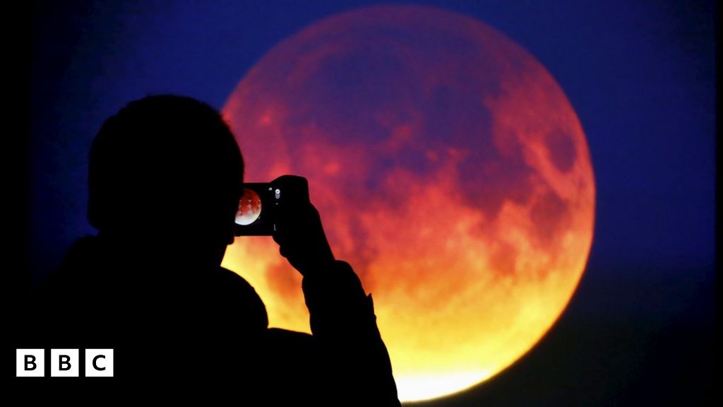 Amazing ‘supermoon’ eclipse photos - BBC Newsround