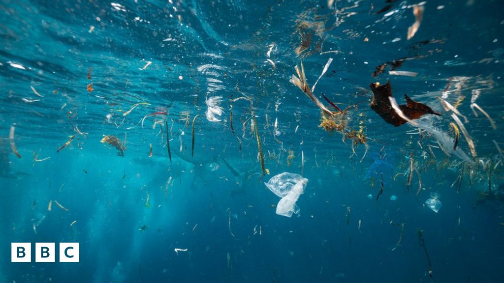 There could be 200 million tonnes of plastic in the Atlantic, according ...