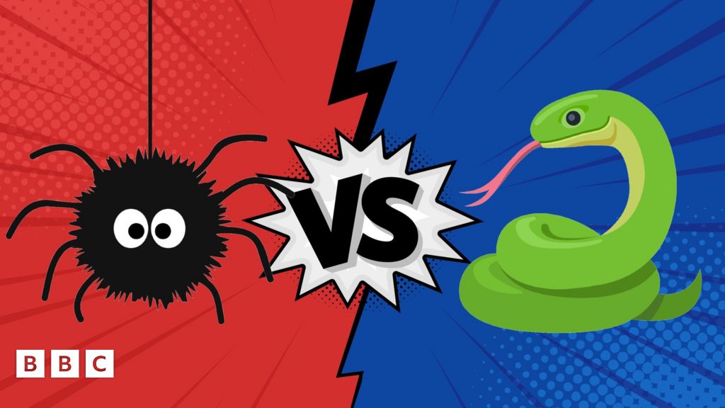 Spider species around the world can catch and eat snakes, according to ...