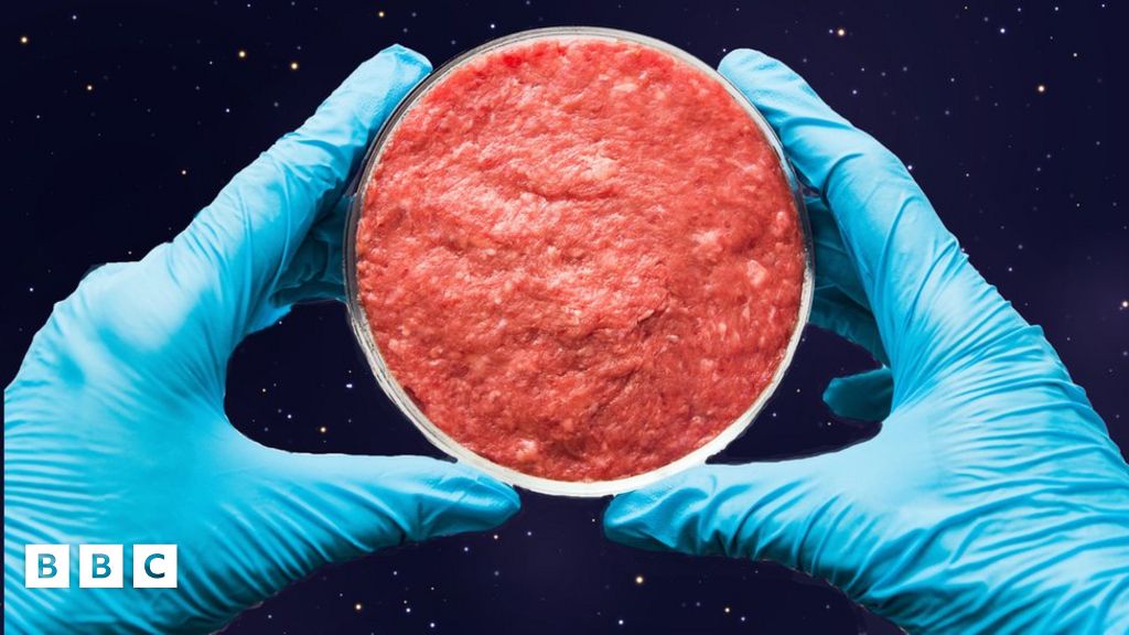 Lab-grown meat made on International Space Station for the first time ...