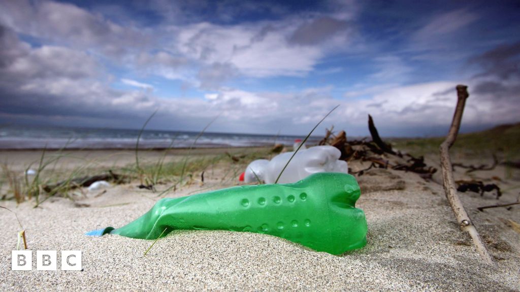 Plastic pollution: Prince William says plastic is the 'enemy' - BBC ...