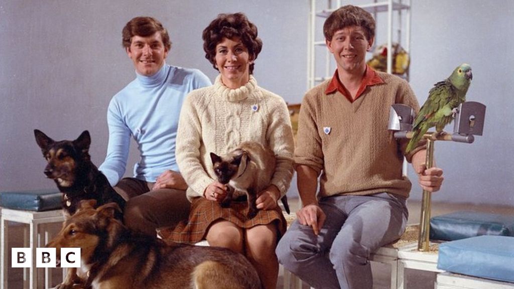 Blue Peter pets: Dogs, horses, and, of course, tortoises - BBC Newsround