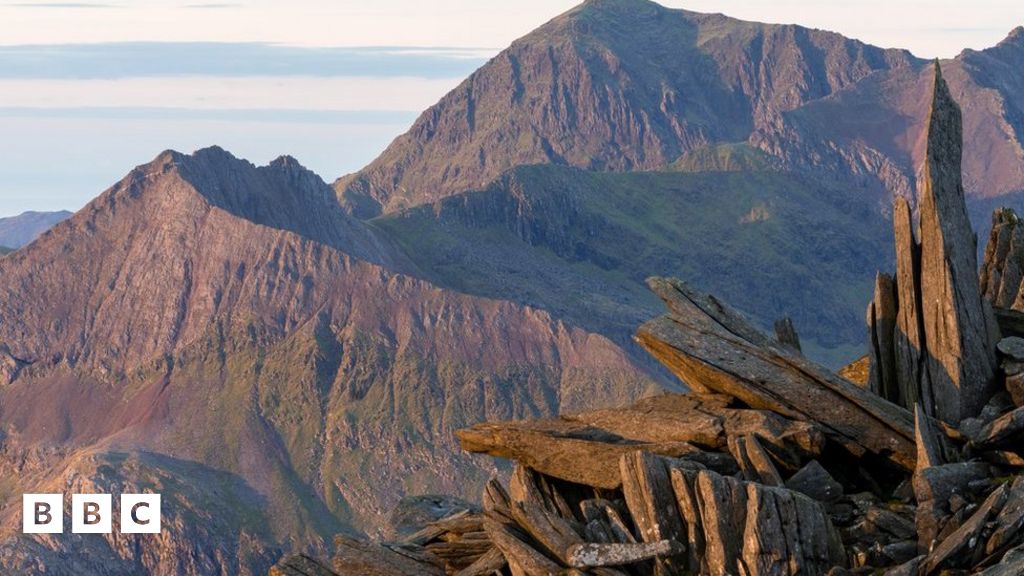 Lluniau: Eryri yn Y Gwanwyn - BBC Cymru Fyw