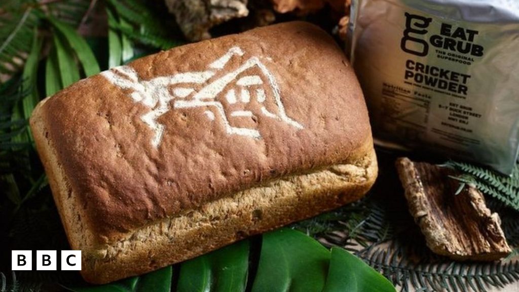 Would you try insect bread? - BBC Newsround