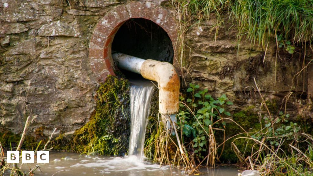 Water pollution: BBC investigation into 6,000 sewage spills - BBC Newsround