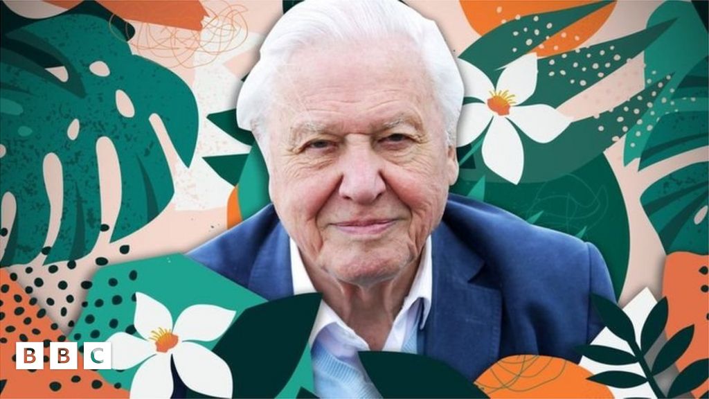 BBC Bitesize: Sir David Attenborough gives geography lessons - BBC ...