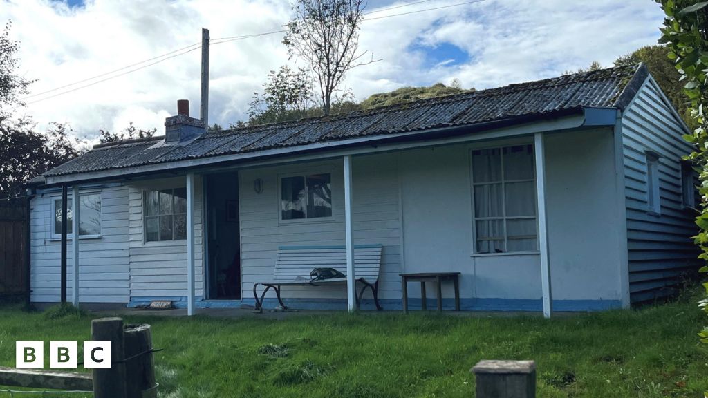 Perchennog caban pren yn brwydro yn erbyn premiwm ail dai - BBC Cymru Fyw