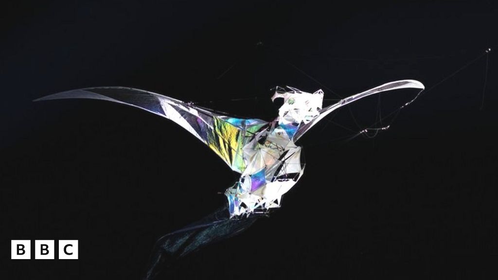 The Hatchling: Giant dragon puppet flies over Plymouth - BBC Newsround