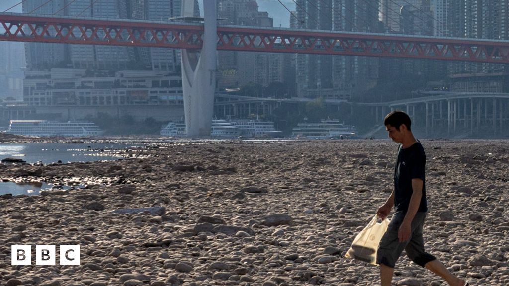 Heatwave: The impact of China's worst drought on record - BBC Newsround