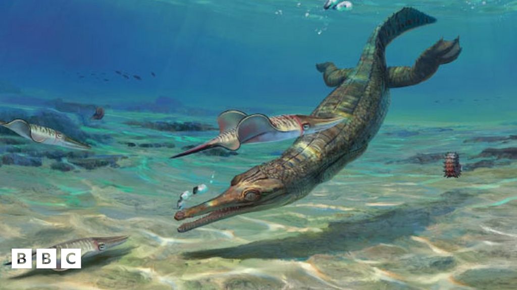 An ancient croc-like creature has been discovered - BBC Newsround