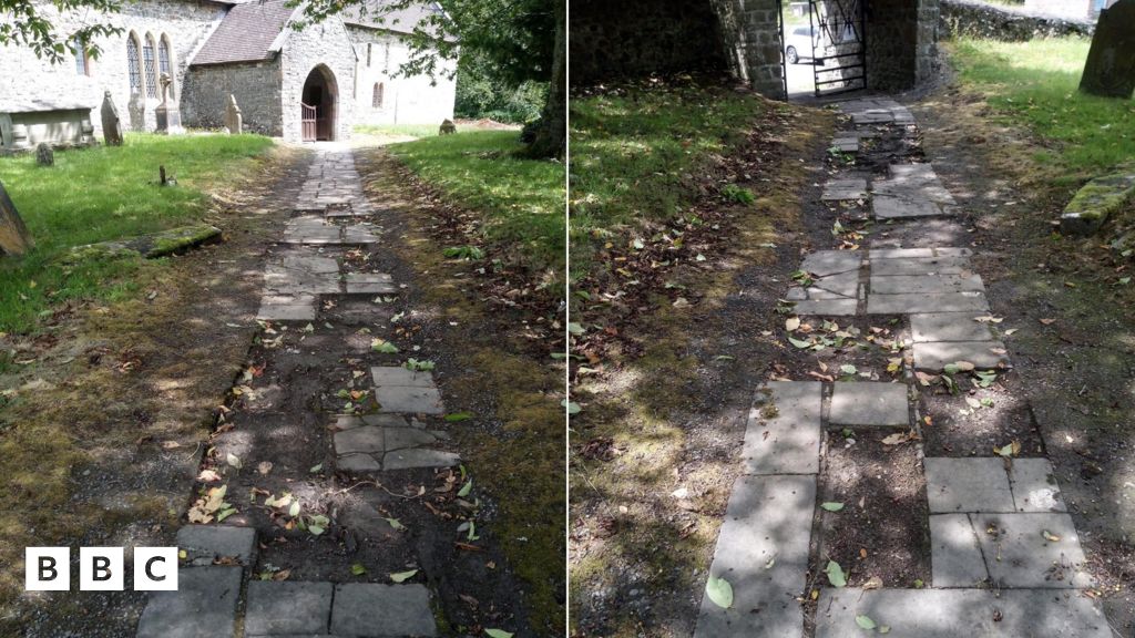 Cerrig 'wedi eu dwyn' o fan claddu Williams Pantycelyn - BBC Cymru Fyw