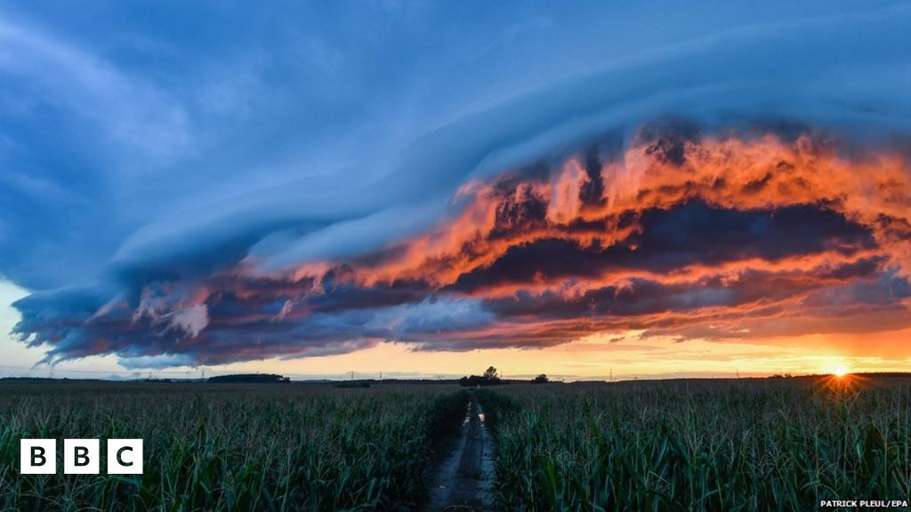 Weather from around the world - BBC Weather