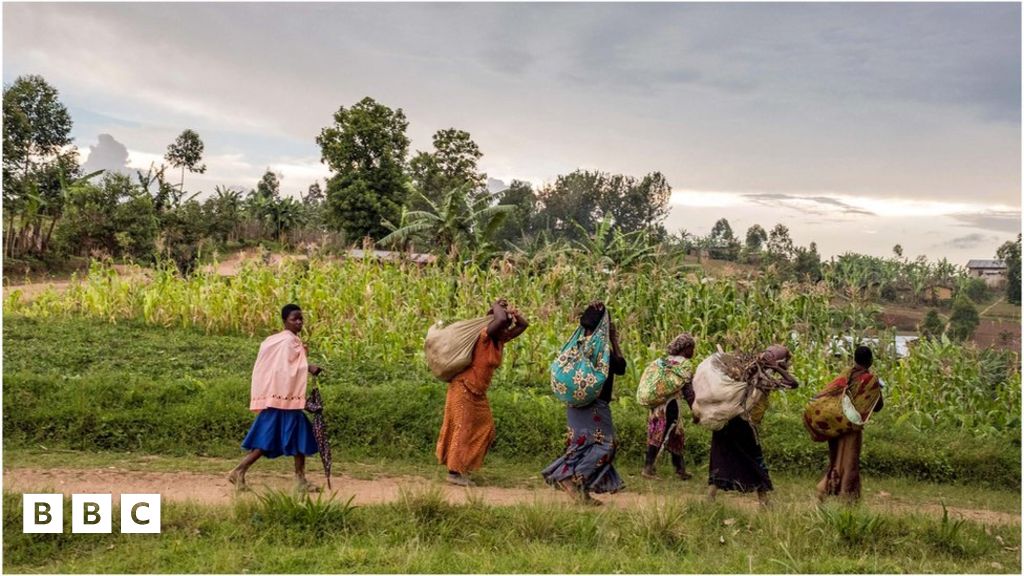 What is happening in the Democratic Republic of Congo? - BBC Newsround