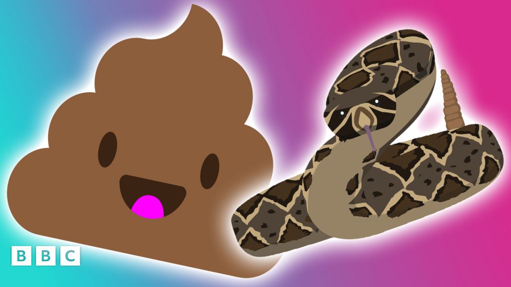 Entire snake found in a 1,500-year-old human POO! - BBC Newsround